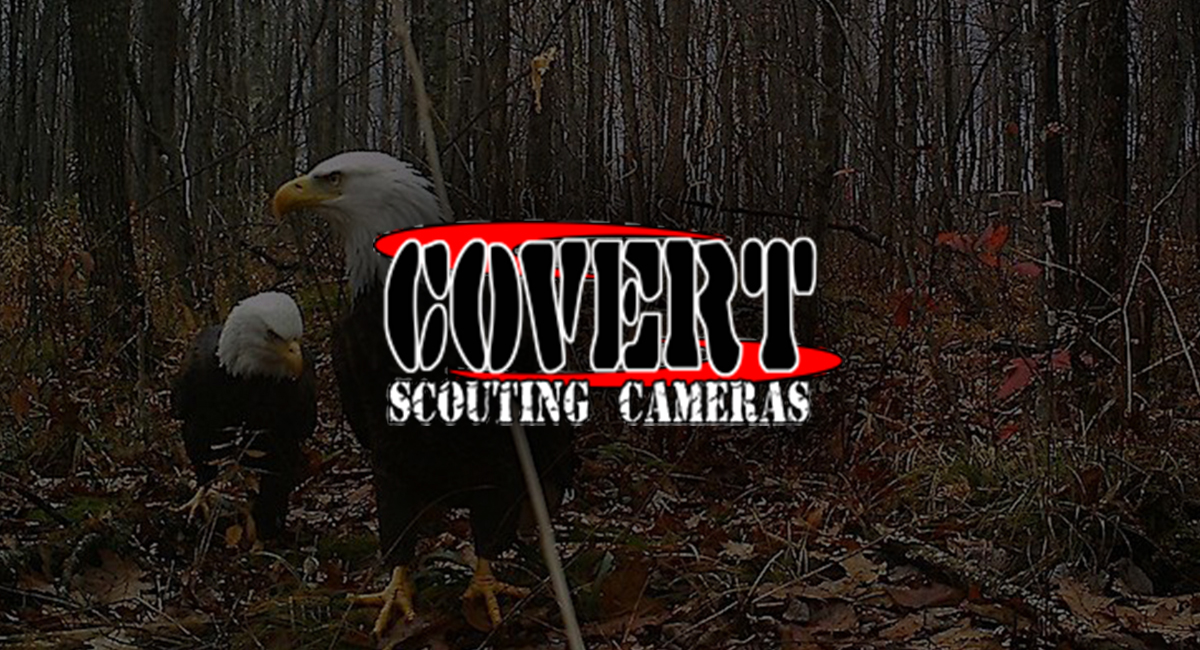 Covert Scouting Cameras - Project by STRYV Creative